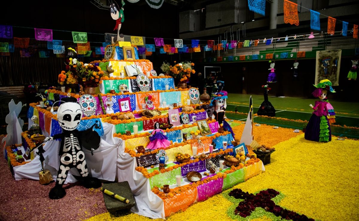 Altar de Muertos: ¿Cuáles son los 7 niveles y qué significan?
