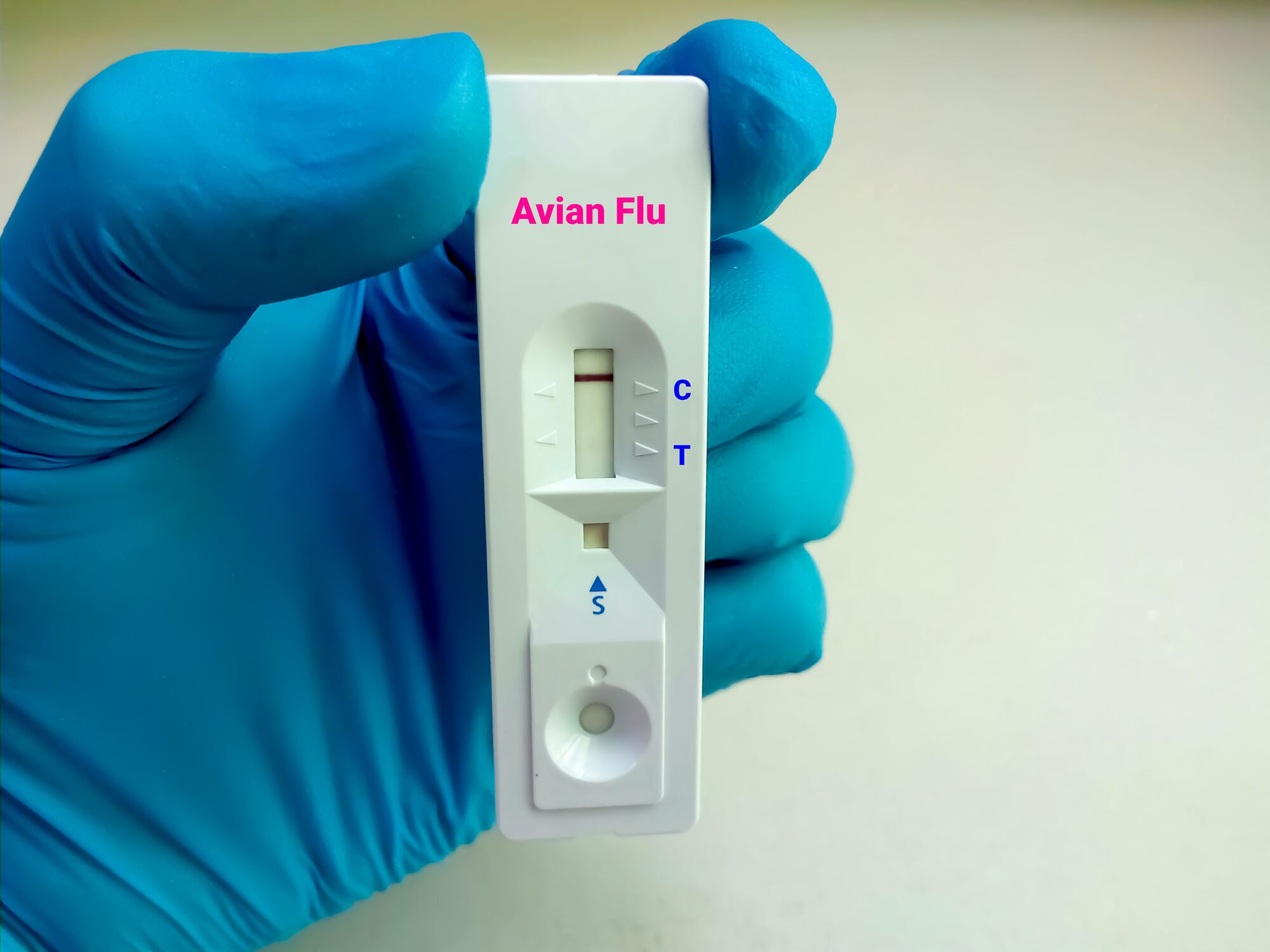 Gripe aviar en México. Primer caso de H5N2 en seres humanos a nivel ...